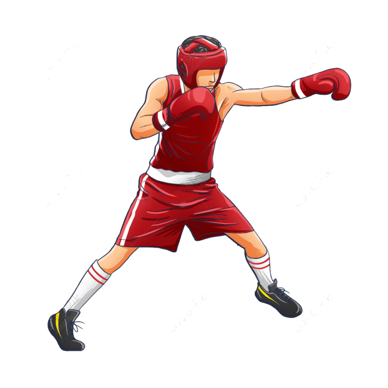 Bridges Beyond Boxing – Supporting young people on both sides of the ...